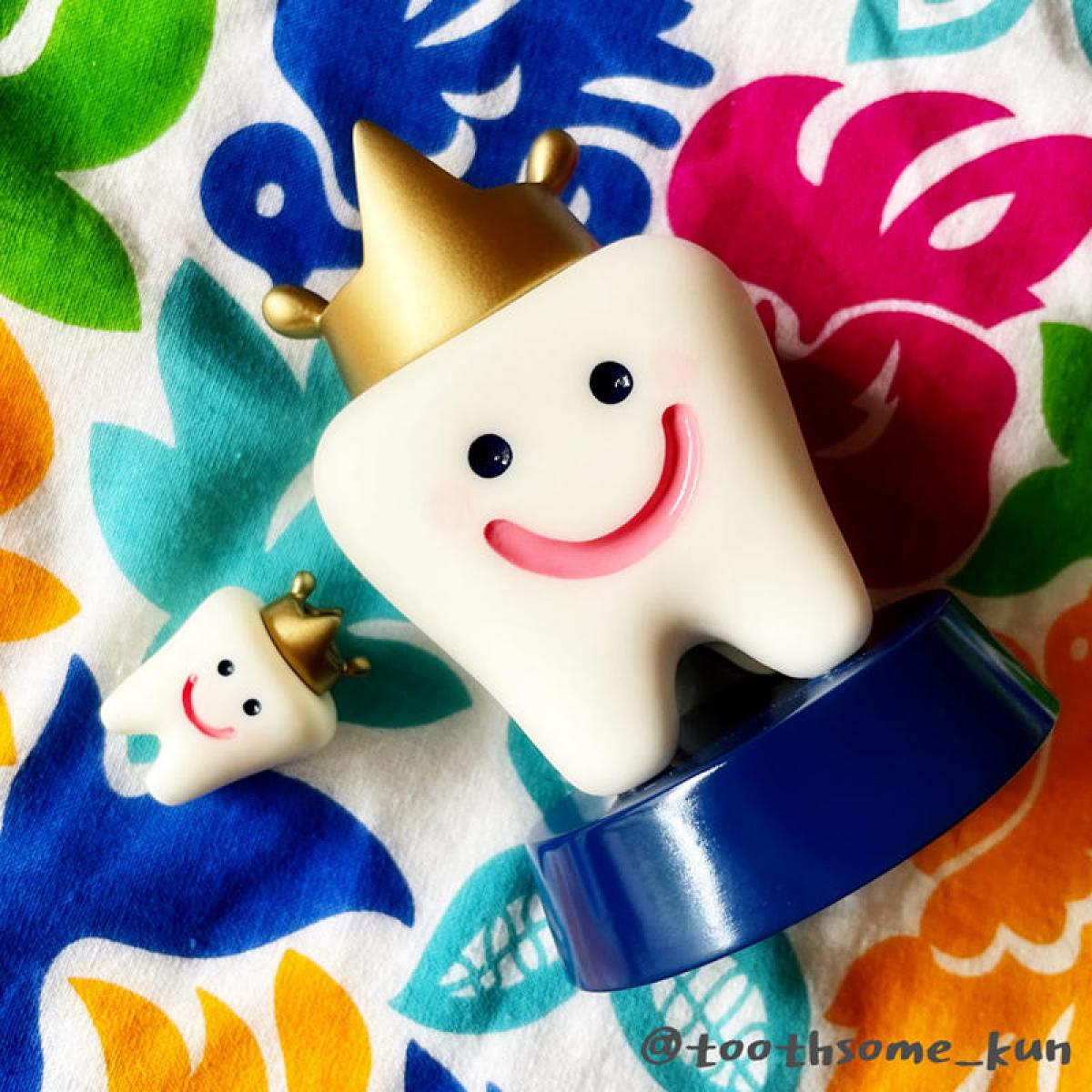 【コレ注目！】高田馬場のCHIKUHOで「歯と矯正」グッズ販売中｜